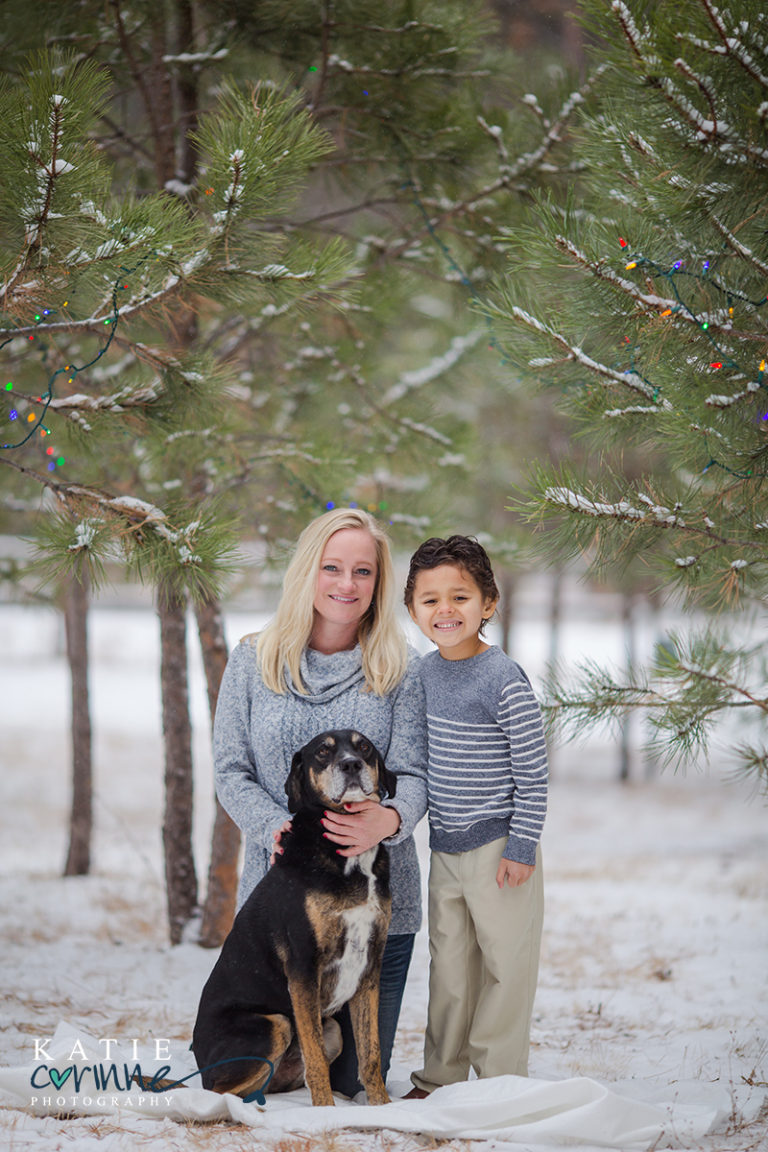 Christmas Mini Sessions