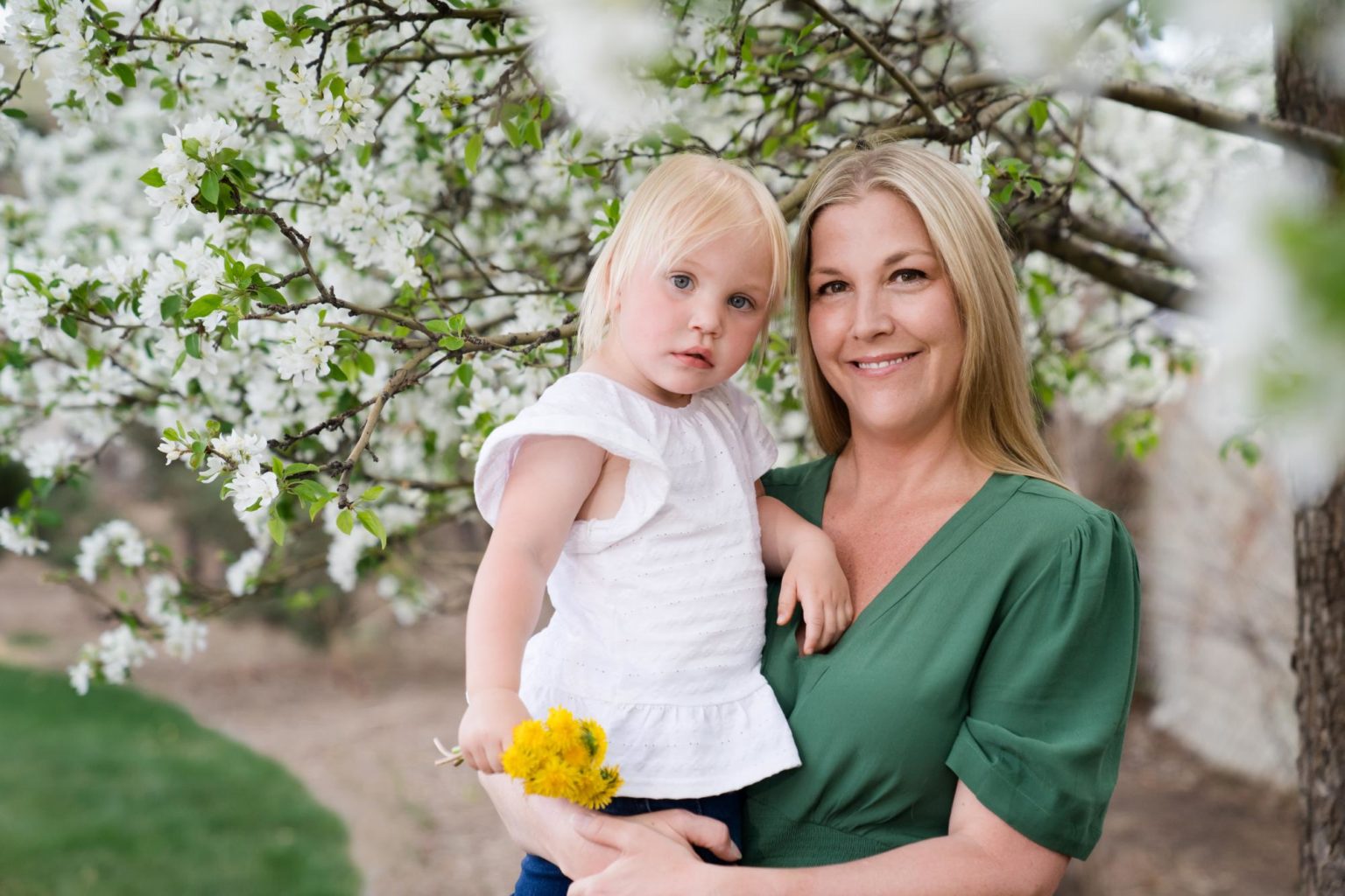 Spring Family Portraits - Cherry Blossoms | Katie Corinne Photography's ...
